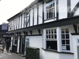 The Purple Dog in Colchester : Pubs Galore