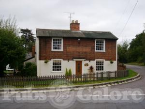 The Walnut Tree in Rowhedge (near Colchester) : Pubs Galore