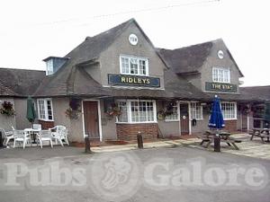 The Stag in Little Easton (near Great Dunmow) : Pubs Galore