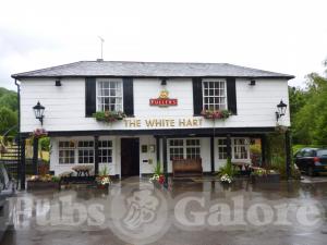 The White Hart in Stockbridge : Pubs Galore
