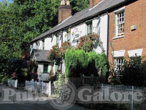 The Windmill in Chipperfield (near Kings Langley) : Pubs Galore