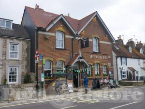 The Vine Inn in St. Helens (near Ryde) : Pubs Galore