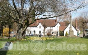 The Crown in Kingsclere (near Newbury) : Pubs Galore