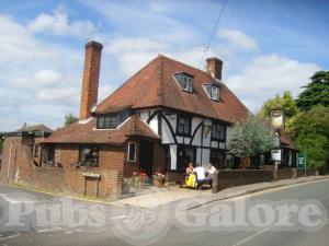 The Walnut Tree in Yalding (near Maidstone) : Pubs Galore
