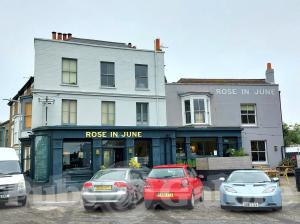 Rose in June in Margate : Pubs Galore