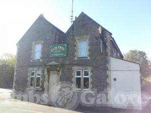 The Elm Tree in Hanham, Bristol : Pubs Galore