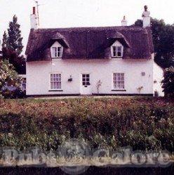 The Ship Inn in Pinchbeck (near Spalding) : Pubs Galore