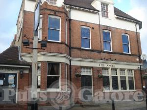 The Angel in Roehampton, SW15 : Pubs Galore