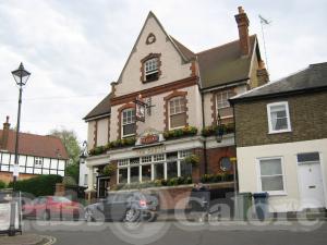 The Castle in Harrow : Pubs Galore