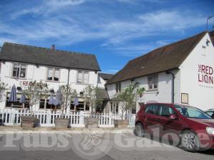The Red Lion in Shepperton : Pubs Galore