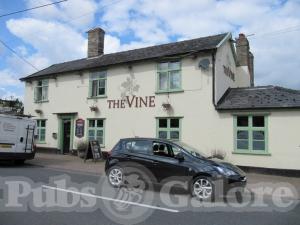 The Vine Inn in Hopton (near Diss) : Pubs Galore