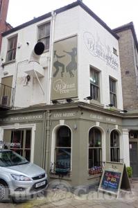 The Walnut Tree Shades in Norwich : Pubs Galore