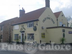 Old Oak Tree in South Kilvington (near Thirsk) : Pubs Galore