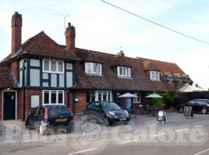 The Blueberry in Blewbury (near Didcot) : Pubs Galore