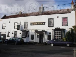 The White Hart in Cross (near Axbridge) : Pubs Galore