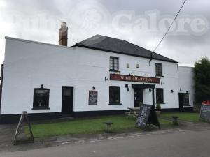 Leather & Lace in Chilton Polden (near Bridgwater) : Pubs Galore