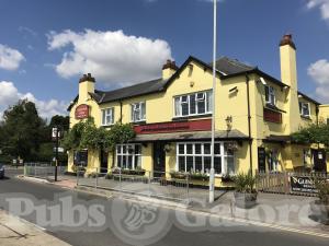 The Vine Tree in Frome : Pubs Galore