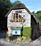 The Blue Ball Inn in Triscombe (near Taunton) : Pubs Galore