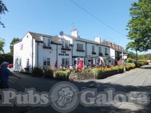 The Dog Inn in Over Peover (near Knutsford) : Pubs Galore