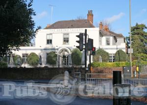 Spring Tavern in Ewell (near Epsom) : Pubs Galore