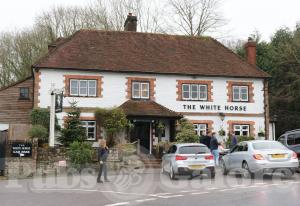 The White Horse in Hascombe (near Godalming) : Pubs Galore