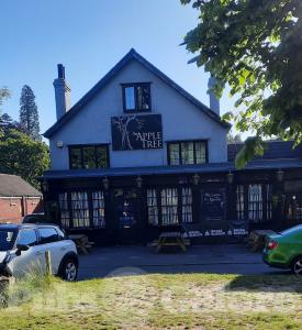 The Apple Tree in Haslemere : Pubs Galore