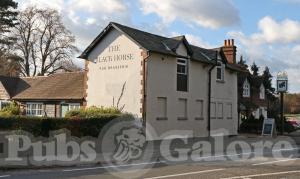 The Black Horse in Reigate : Pubs Galore