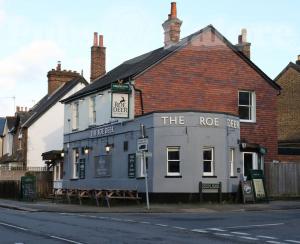 The Roe Deer in Reigate : Pubs Galore