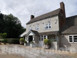 The Orange Tree in Chadwick End (near Solihull) : Pubs Galore