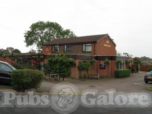 The Funky Bear in Mere Green (near Sutton Coldfield) : Pubs Galore