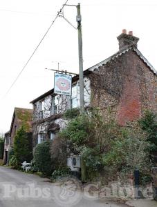 The Rising Sun in Nutbourne (near Pulborough) : Pubs Galore
