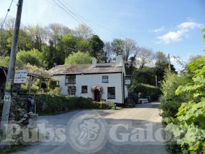 The Rising Sun Inn in Gunnislake : Pubs Galore