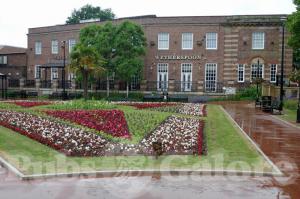 The Arnold Machin (JD Wetherspoon) in Newcastle Under Lyme Central ...