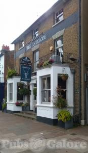 The Antelope in Surbiton : Pubs Galore