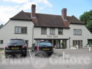 The Tree in Boxhill, Tadworth : Pubs Galore