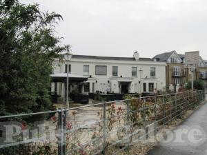 The Minnow in Weybridge : Pubs Galore