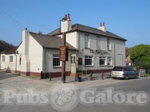 The Red Lion in Chobham (near Woking) : Pubs Galore