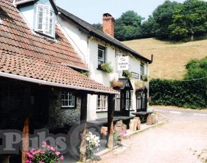 Fountain Head in Branscombe (near Seaton) : Pubs Galore