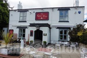 The Rose Tree in Shincliffe (near Durham) : Pubs Galore