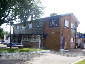 The Winged Horse in Basildon : Pubs Galore