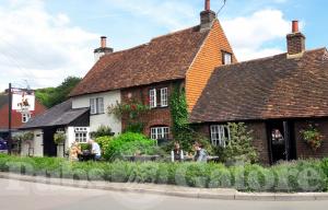 The Trooper in Aldbury (near Tring) : Pubs Galore
