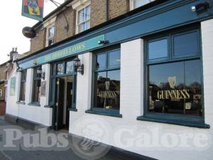 The Oddfellows in Watford : Pubs Galore