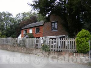 The Yew Tree in Lower Wield (near Alresford) : Pubs Galore