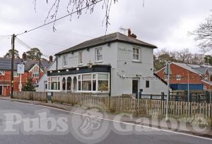 The Temple Inn in Liss Forest (near Liss) : Pubs Galore