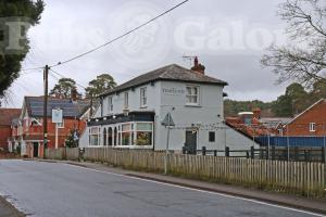 The Temple Inn in Liss Forest (near Liss) : Pubs Galore