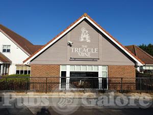 The Treacle Mine in Polegate : Pubs Galore