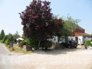 The White Dog in Ewhurst Green (near Robertsbridge) : Pubs Galore