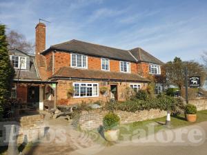 The White Dog in Ewhurst Green (near Robertsbridge) : Pubs Galore