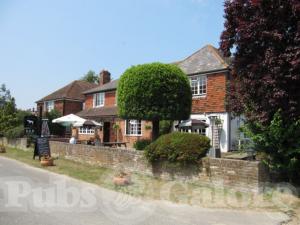 The White Dog in Ewhurst Green (near Robertsbridge) : Pubs Galore