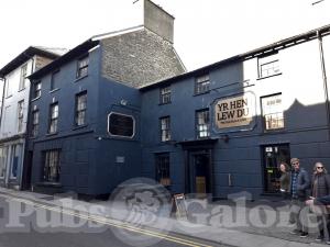 Yr Hen Lew Du in Aberystwyth : Pubs Galore